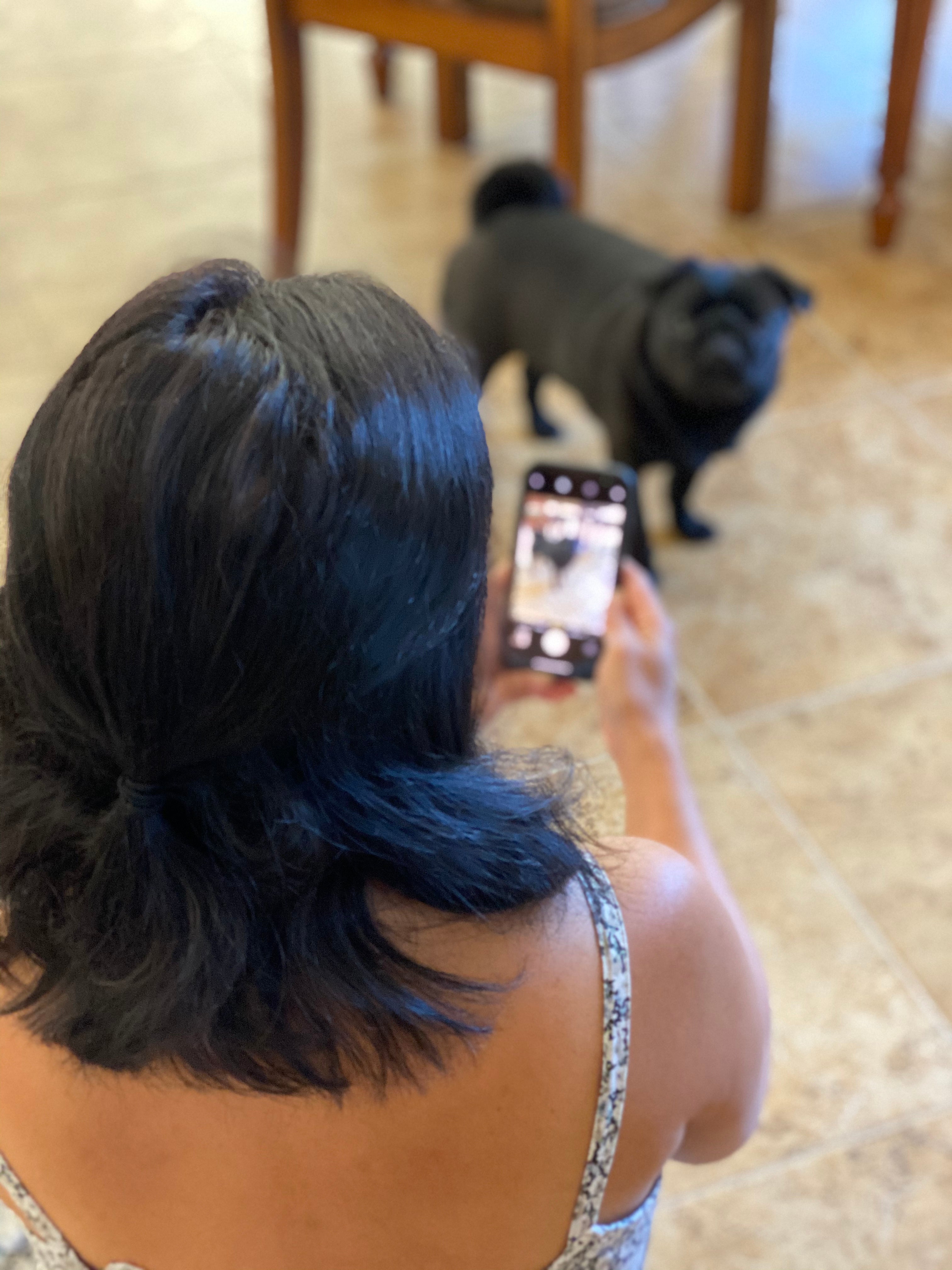 Dog Photography Tips: How to Capture Paw-some Moments with Your Pup ...